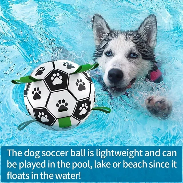 LARGE SIZE INTERACTIVE Dogs Toy Soccer Ball for Tug of War (15cm) $16. ...