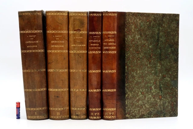 TESTUT - TRAITÉ d'anatomie humaine 5/5 1899 planches couleurs écorché ...