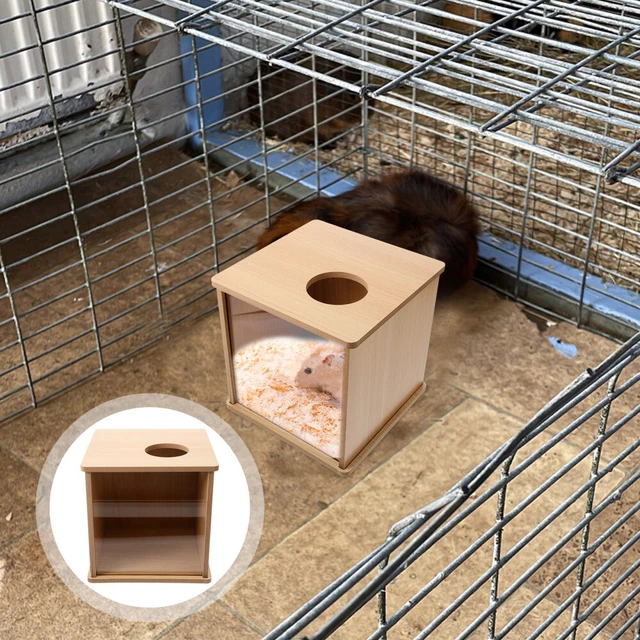 HAMSTER DIG BOX Clear Hamster Bathroom Gerbils Sand Bath Container ...