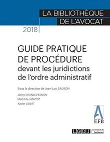 GUIDE PRATIQUE DE procédure devant les juridictions de lo... | Livre ...