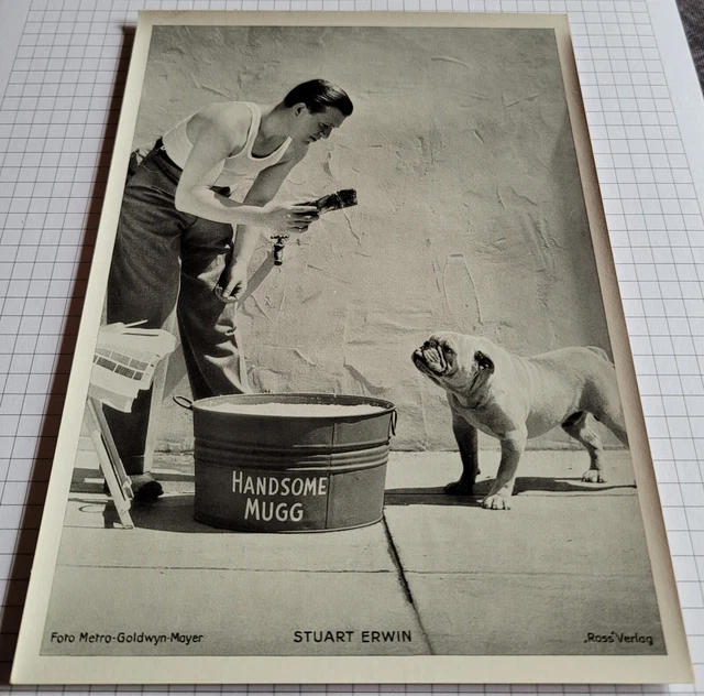 SCHAUSPIELER STUART ERWIN mit Hund | Altes Film-Star-Foto/Bild #20672 ...