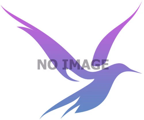 ORIGINAL OE MERCEDES-BENZ A2023500106 Reparatursatz EUR 10,29 - PicClick DE