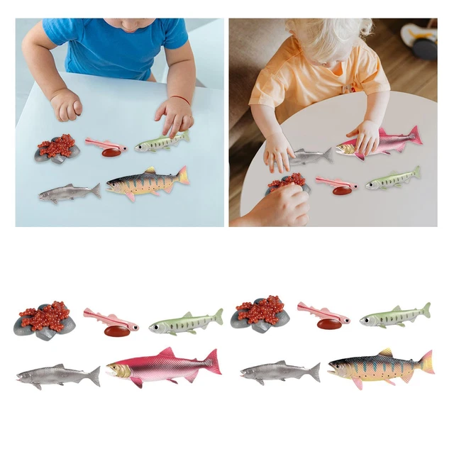 LIFE CYCLE OF Salmon Toys Animal Growth Cycle Set for Role Play Daycare ...