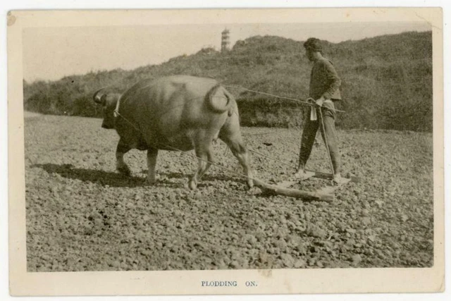 CHINA POSTCARD VIEW-PLODDING ON-NOTATION on REVERSE IN ENGLISH-NOT ...