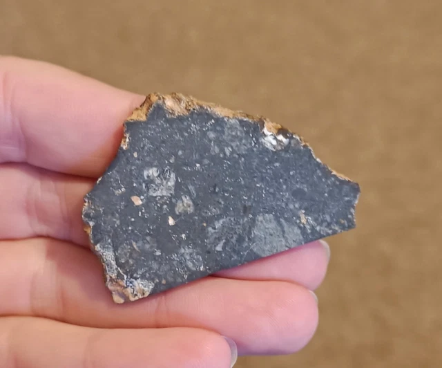 NWA 15189 9.64G HED Achondrite Eucrite Polymict Meteorite £62.99 ...