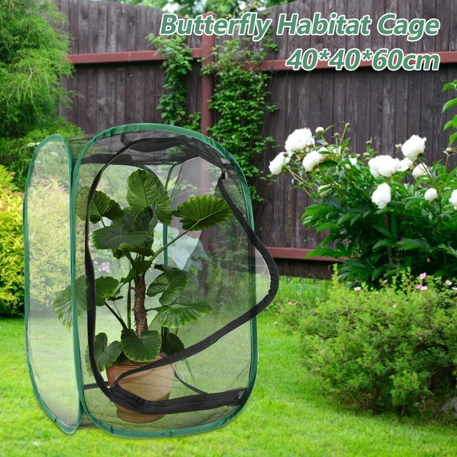 STICK INSECT CAGE Praying Mantis Butterfly Chameleon Pop-up Housing ...