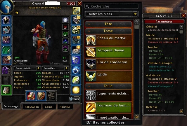 COMPTE WOW SOD lvl 40 Pal/Hunt lone wolf eu EUR 350,00 - PicClick FR