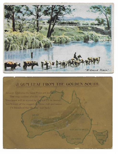 TWO AUSTRALIAN SCENES, Cattle in River & Map, Australia, Two Postcards ...
