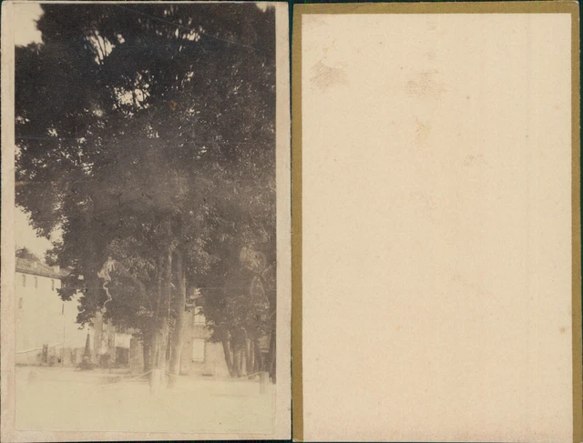 VINTAGE CDV HOUSE and Park Albumen Business Card - Albumen Print 6.5x1 ...