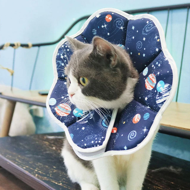 COLLIER CONIQUE COMPOSÉ Cône Souple Pour Chat De Récupération Animaux ...