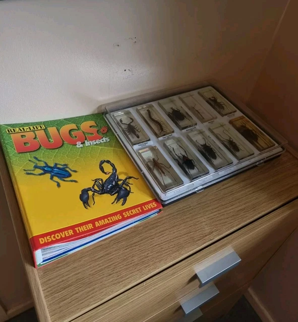 NATIONAL GEOGRAPHIC REAL Life Bugs Insects In Resin Collection Complete ...