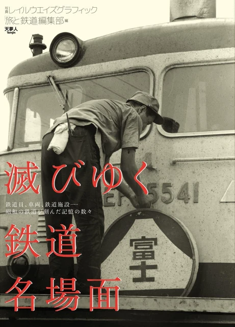 SCÈNE CÉLÈBRE DU Chemin De Fer Mourant Livre Japonais EUR 53,51 ...