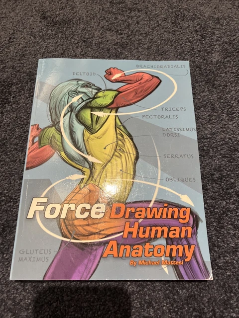 FORCE: DRAWING HUMAN Anatomy (Force Drawing Series) by Mattesi ...