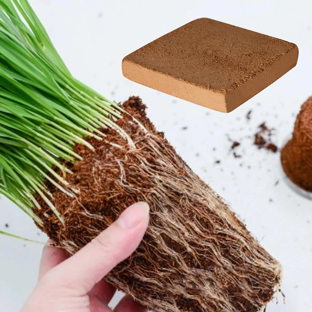 COCONUT COIR BRICK Vegetable Soil Bed Planting Media Soil Coconut Fibre ...