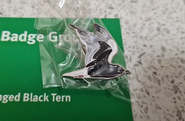 WHITE-WINGED BLACK - Pin Design 3 - Bird Pin Group - Enamel Pin Badge ...