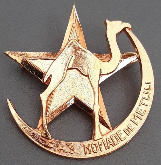 INSIGNE SAHARA CAS Nomade Metlili retirage ancien Arthus Bertrand 45mm EUR 119,99 - PicClick FR