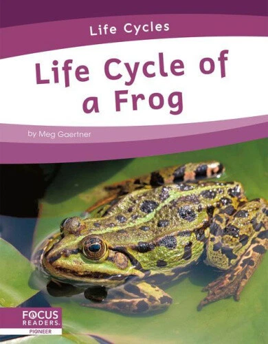 LIFE CYCLES: LIFE Cycle of a Frog by Gaertner, Meg £9.28 - PicClick UK LIFE CYCLES: LIFE Cycle of a Frog by Gaertner, Meg £9.28 - PicClick UK