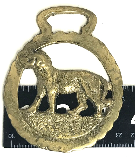 VINTAGE BRASS HORSE Medallian "Labrador Retriever" Dog Harness Tack Pub ...