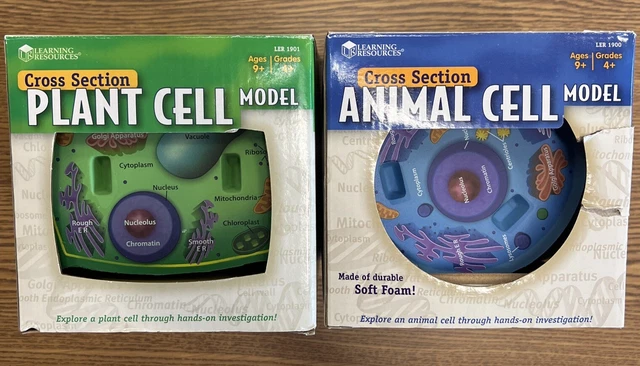 LEARNING RESOURCES CROSS-SECTION animal And plant cell foam models NWT ...