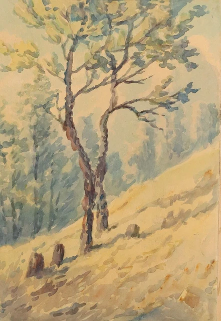 TABLEAU AQUARELLE ANCIEN signé paysage de montagne EUR 91,26 - PicClick FR