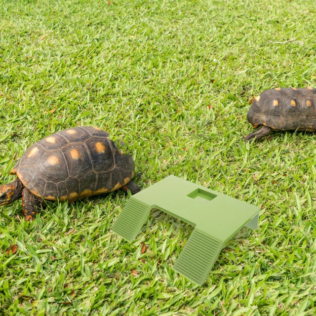 Tortoise Basking Platform Suction Cup Type Turtle Tank Floating