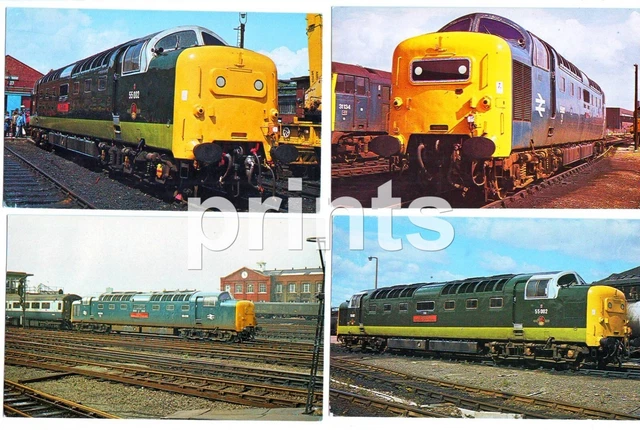 BRITISH RAILWAYS DELTIC DIESEL LOCOMOTIVE 5502 55003 55019 4 5x3 ...