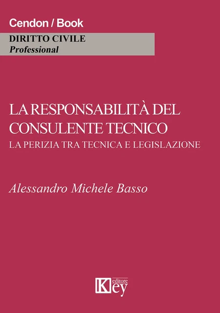 BASSO ALESSANDRO M. - La Responsabilita Del Consulente Tecnico. La ...