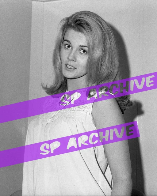 1960s Sexy Pin Up Actress Ann Margret 8x10 Unseen Photo 003 Eur 1495 Picclick Fr
