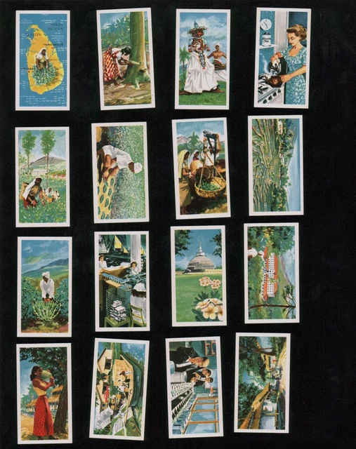 1955 SEYMOUR MEAD Island of Ceylon Series A Complete Set 24/24 (301564 ...