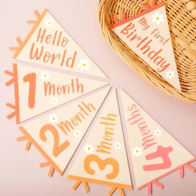 BABY MILESTONE BANNER Set 14 Felt Pennants for Monthly Baby Photo ...