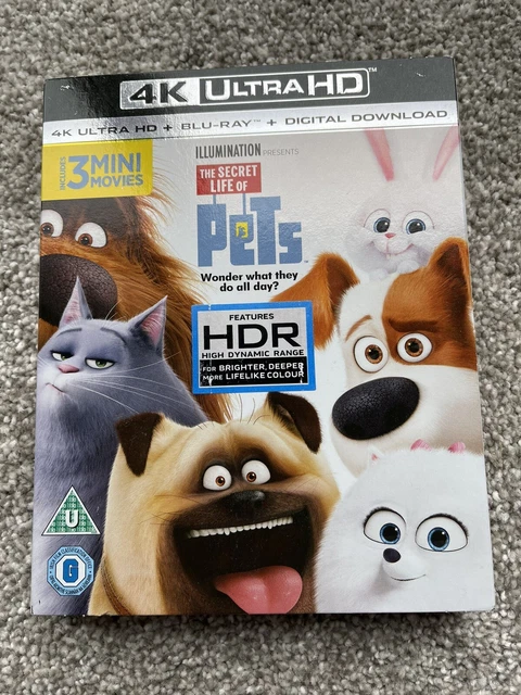 THE SECRET LIFE of Pets 4K UHD Blu-ray/Blu-ray, 2019) £10.00 - PicClick UK