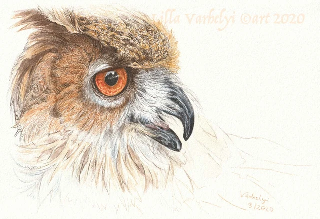 ORIGINAL TUSCHEZEICHNUNG INKDRAWING Eule Uhu Owl Unikat Signiert Lilla ...