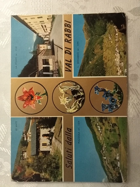 CARTOLINA ANTICA SALUTI Dalla Val Di Rabbi Trento Trentino Viaggiata ...