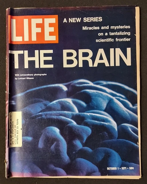 LIFE MAGAZINE OCTOBER 1, 1971 Brain Attica Prison Riots Erma Bombeck ...