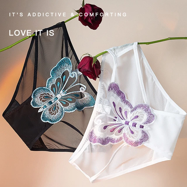 DURCHSICHTIGE SPITZEN-SLIPS FÜR Damen Mesh-Unterwäsche Mit Schmetterlings- Z EUR 4,85 - PicClick DE