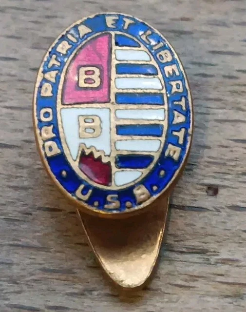 SPILLA PINS DISTINTIVO Stemma Simbolo Badge Logo Club Pro Patria Busto ...