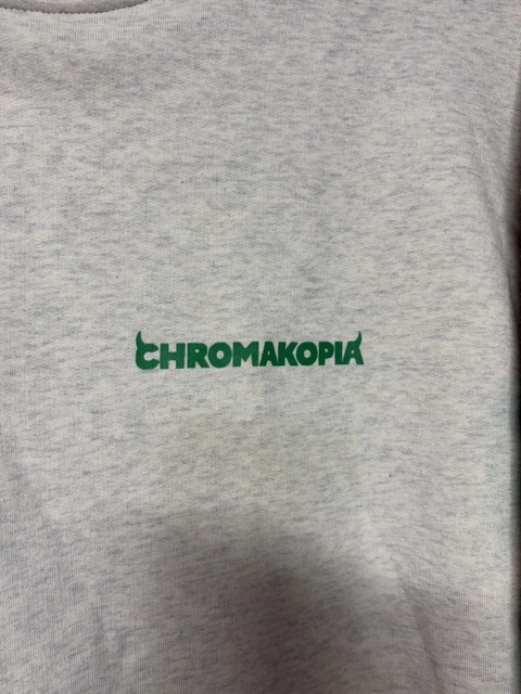 CHROMAKOPIA TYLER THE Creator World Tour 2025 Official Grey Hoodie Size ...