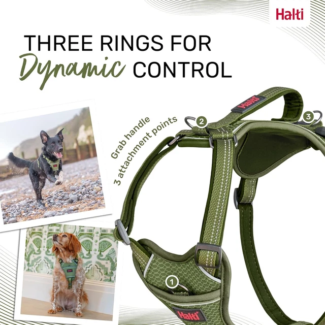 DOG HARNESS COMPANY Of Animals Green Xs 20-32 Cm NEW $88.86 - PicClick AU