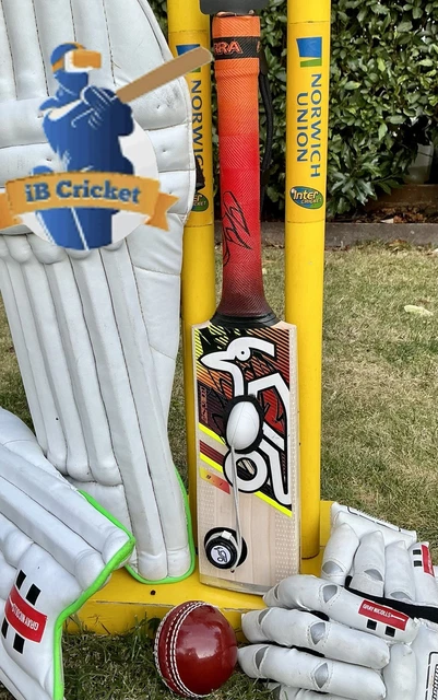 KOOKABURRA BEAST 10.1 VR IB Cricket bat works with Meta Oculus Quest 3 ...