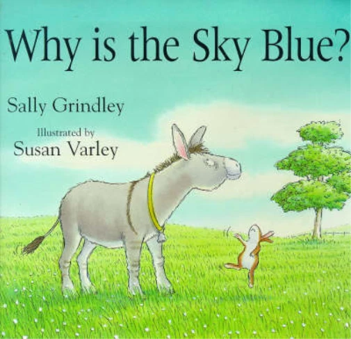 WHY IS THE Sky Blue?, Sally Grindley, Used; Good Book £3.20 - PicClick UK