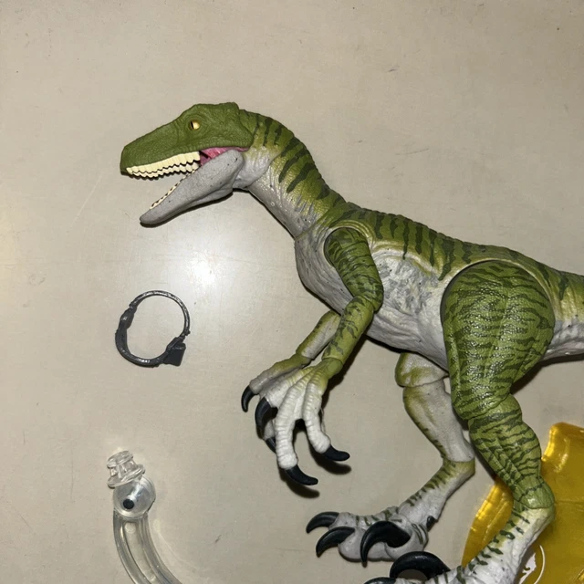 JURASSIC WORLD AMBER Collection Charlie Velociraptor 6” Figure Mattel ...
