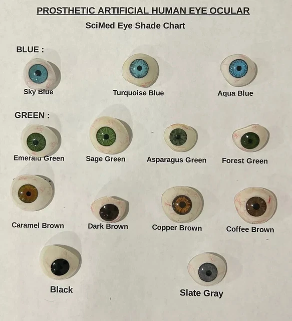 OCULAR PROSTHESES ARTIFICIAL Human Prosthetic Eye & Sterilized Case 10 ...