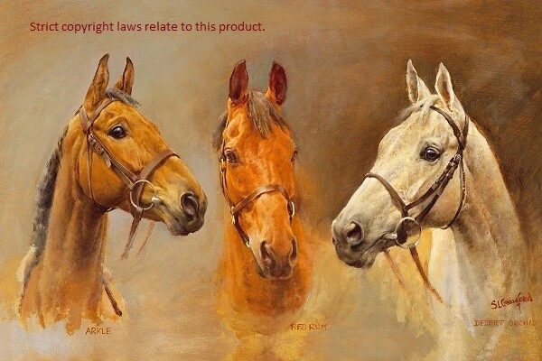 DESERT ORCHID RED Rum Arkle We Three Kings Large Sue Crawford £32.99 ...
