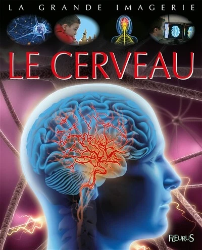 LE CERVEAU, JACQUES Dayan, Emilie Beaumont et Cathy Franco EUR 3,00 ...