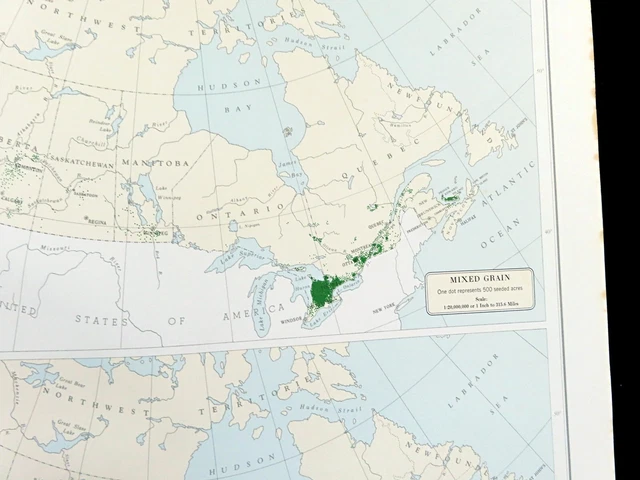 MAP OF CANADA Crop Production Grains Agriculture Farming Large Vintage ...