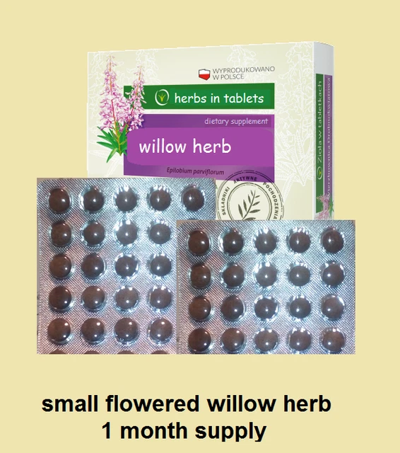 Small Flowered Willow Herb Tea Benefits | Best Flower Site