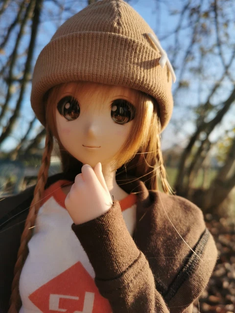 SMART DOLL MIRAÏ Suenaga Danny Choo poupée collection culture japan EUR ...