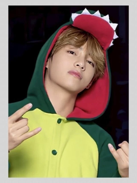 BTSC6107 V TETE / Bts Banthan Photo L Version EUR 38,98 - PicClick FR