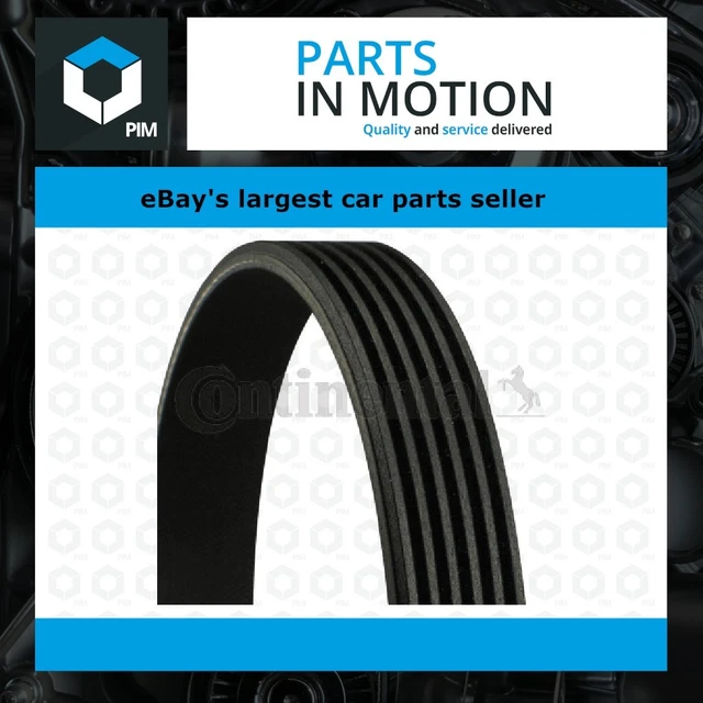 6 RIB MULTI V Drive Belt fits CITROEN C8 2.0D 2006 on Continental ...
