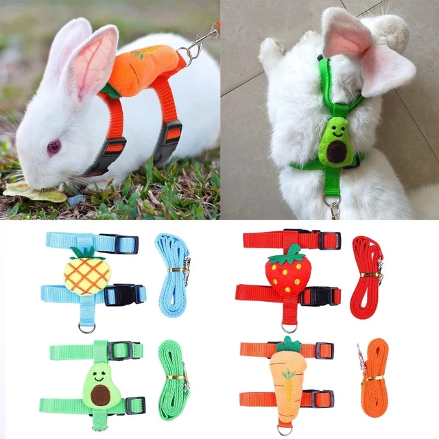 RABBIT HARNESS AND Leash Set No Escape Adjustable Small Animal Cute ...